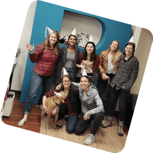 Request a Free Team Time Tracking Demo | Toggl Track